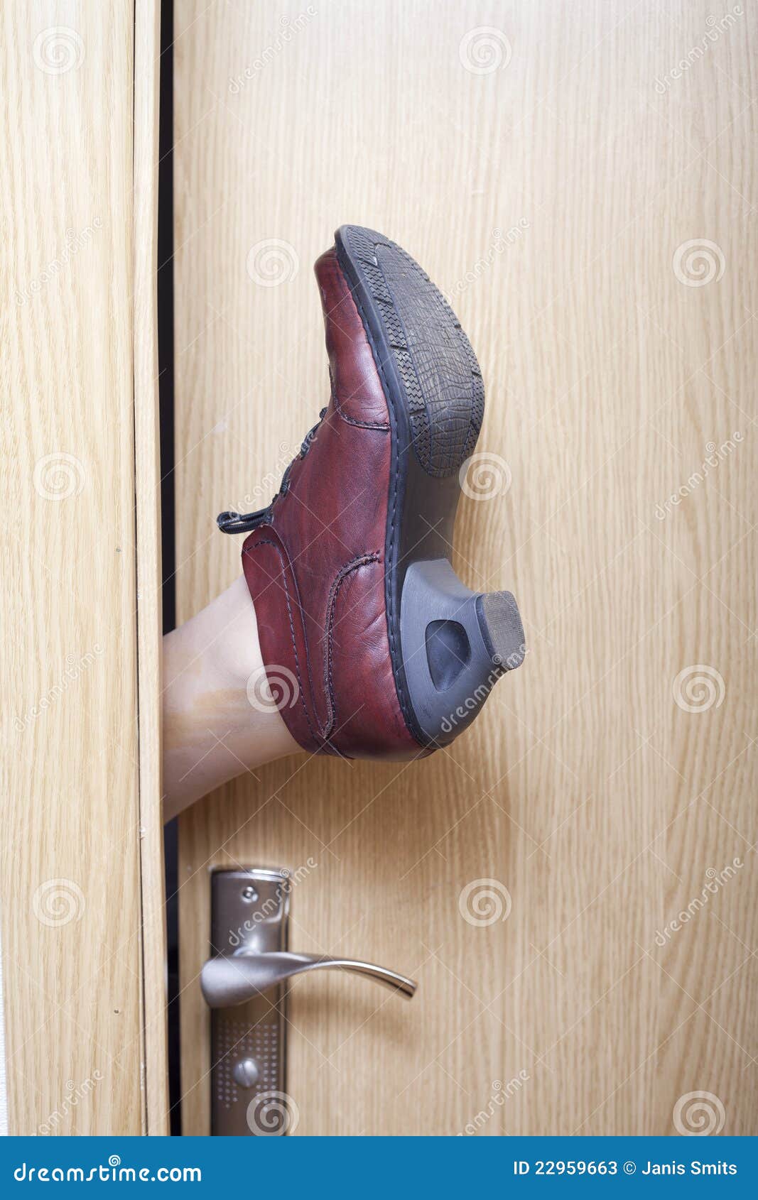 Leg and door. stock image. Image of estate, white, brown - 22959663