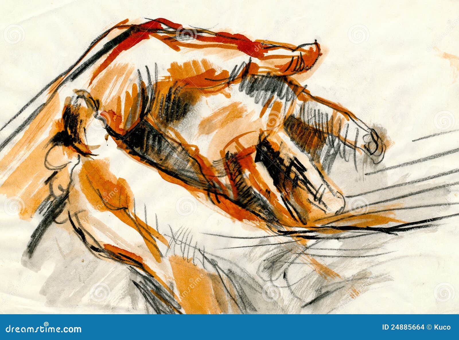 Leg - foot and palm stock illustration. Illustration of study - 24885664