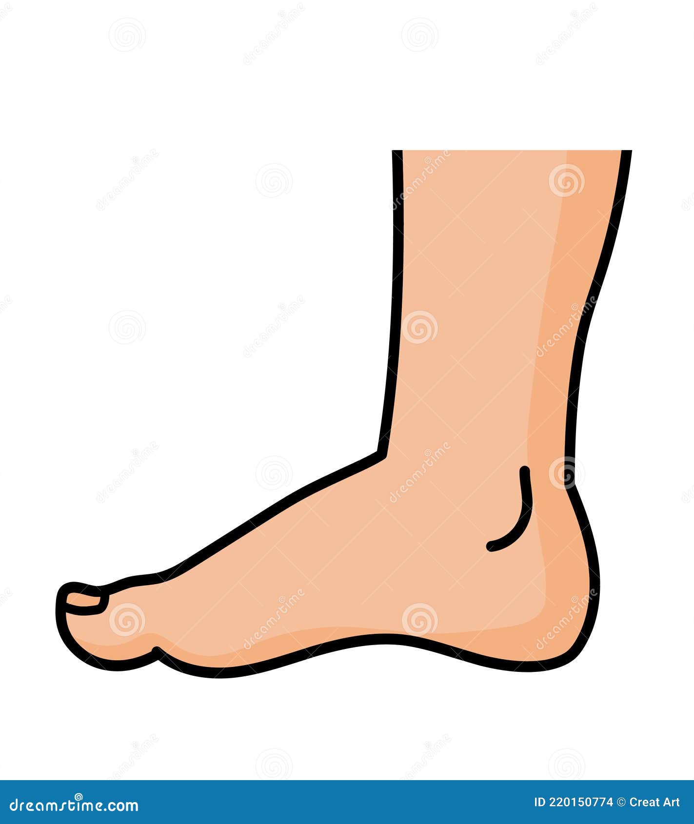 Leg illustration stock vector. Illustration of vector - 220150774