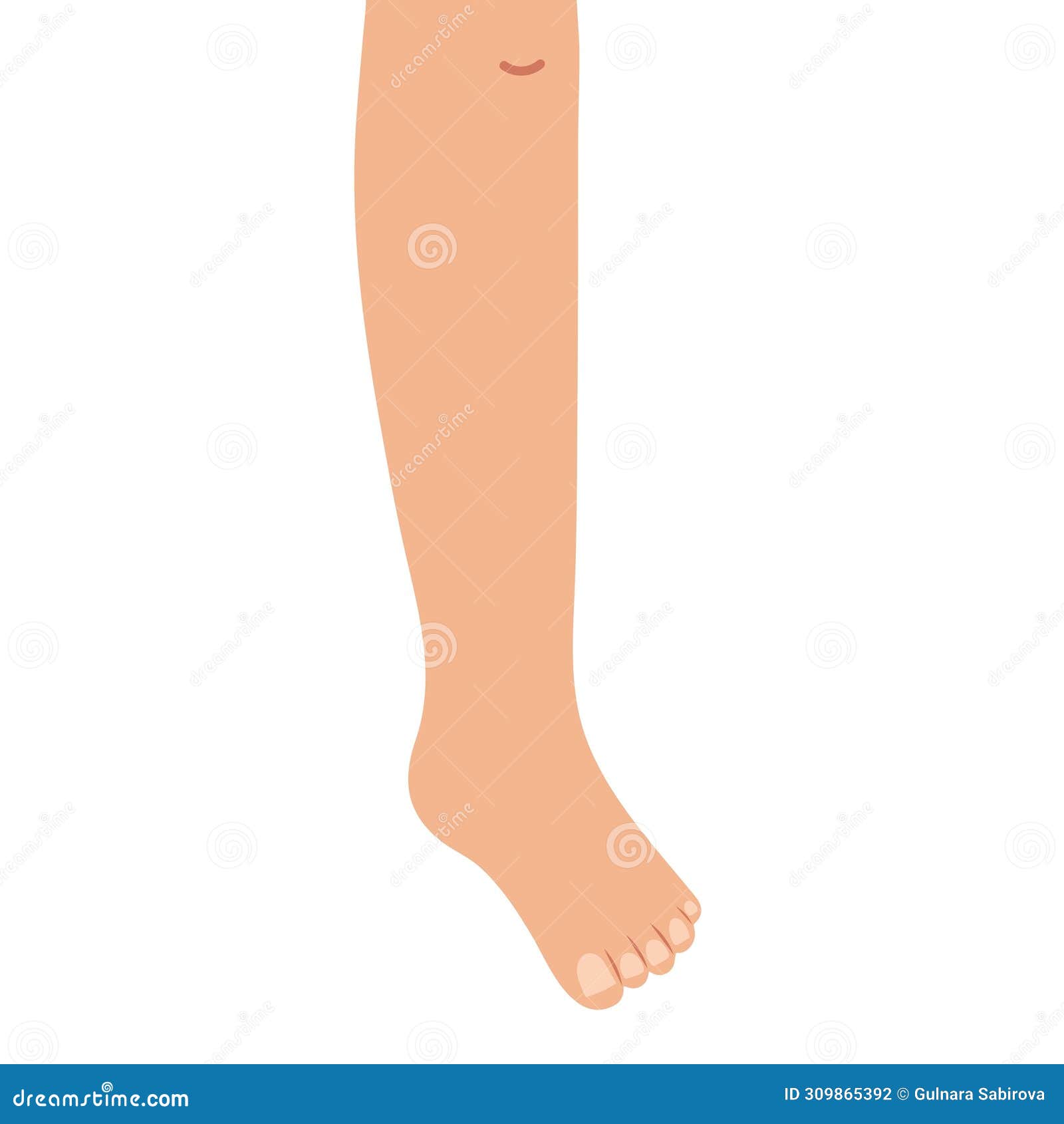 Human Left Leg Isolated On White Background In Cartoon Style. Learning ...