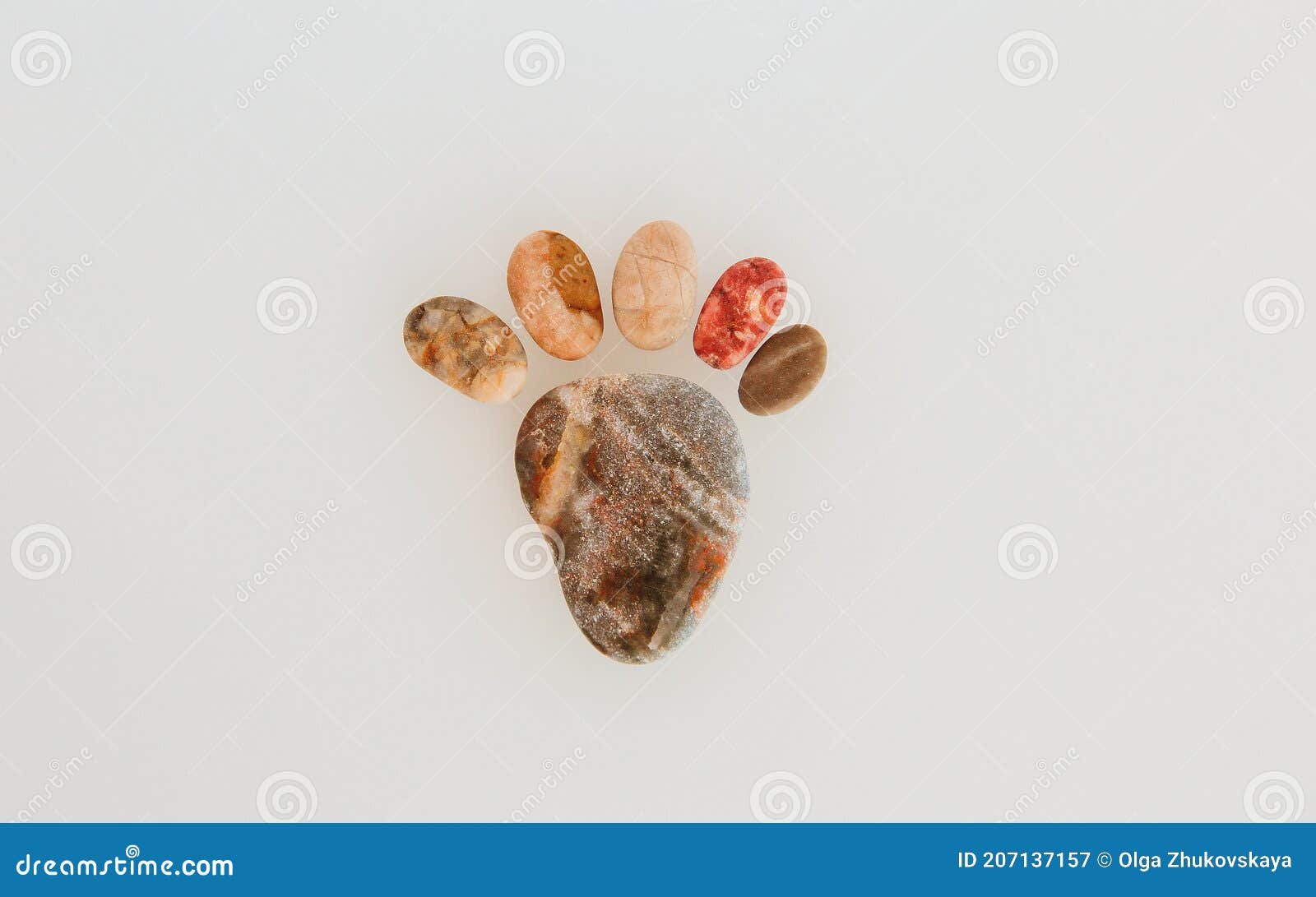 A Leg Made of Sea Stones. Marine Background Stock Image - Image of ...