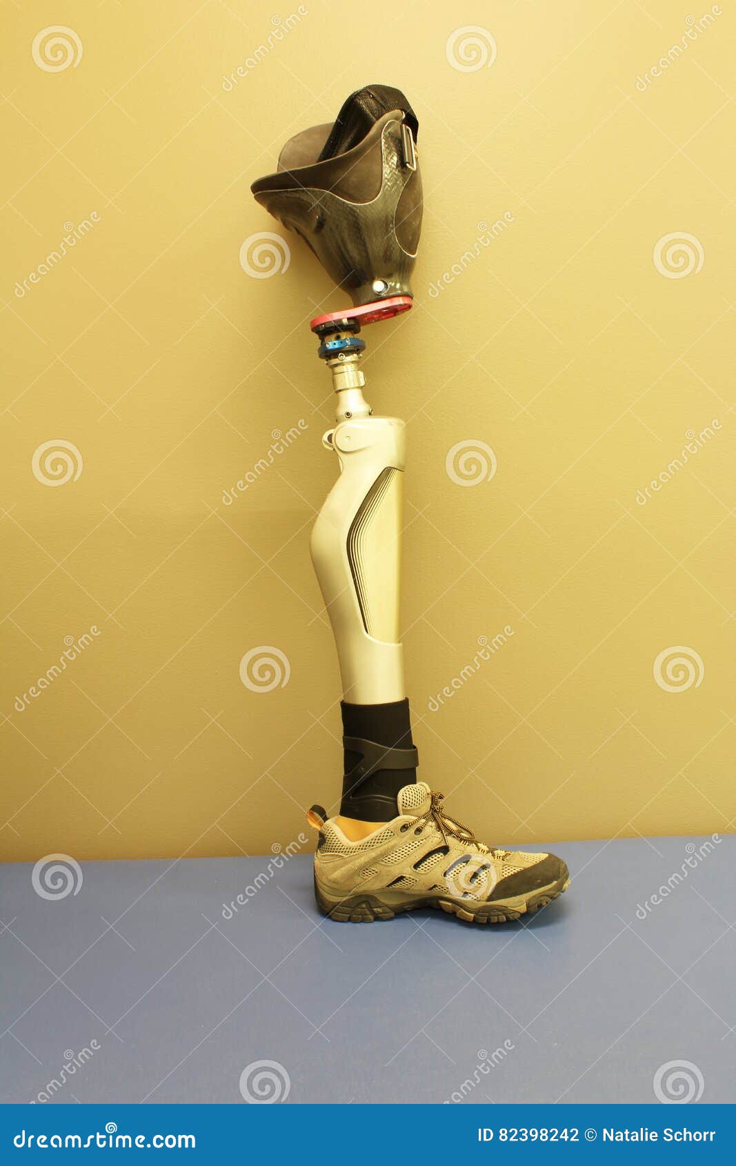 Leg Prosthesis with Socket and Shoe Stock Photo - Image of knee ...