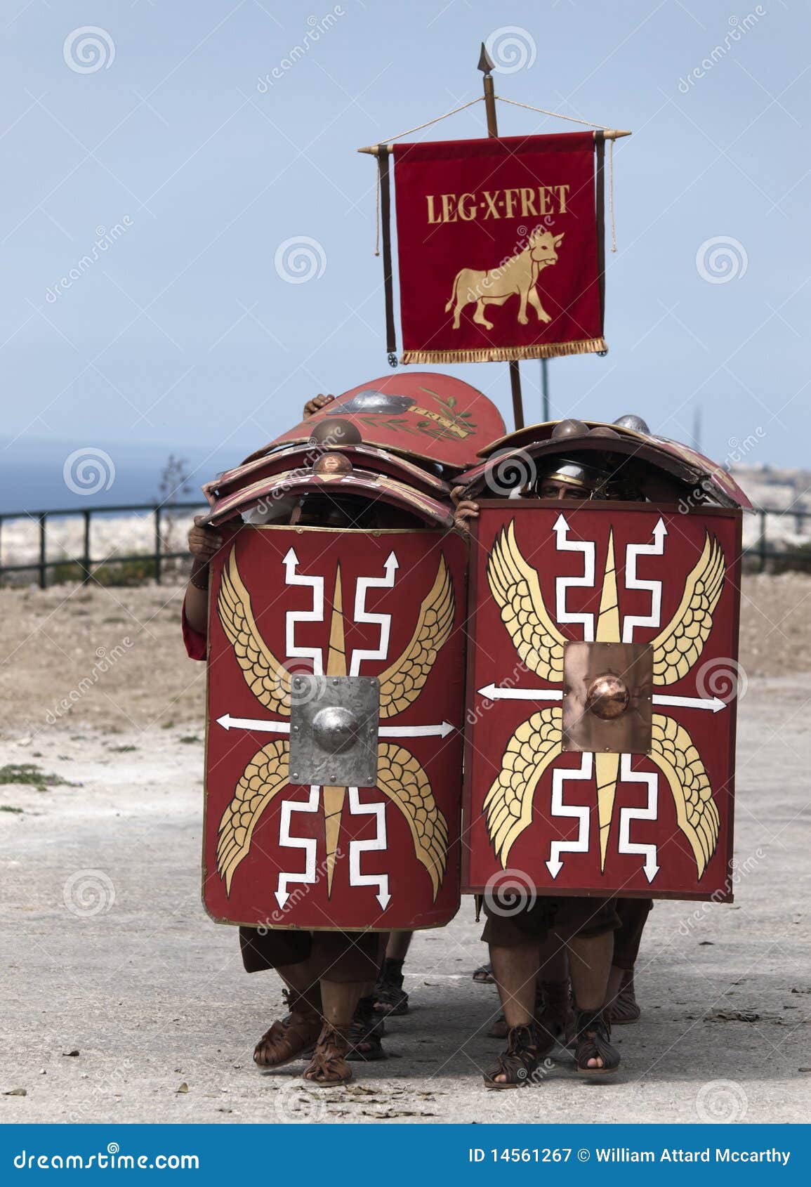 Roman Tortoise Stock Image | CartoonDealer.com #870745