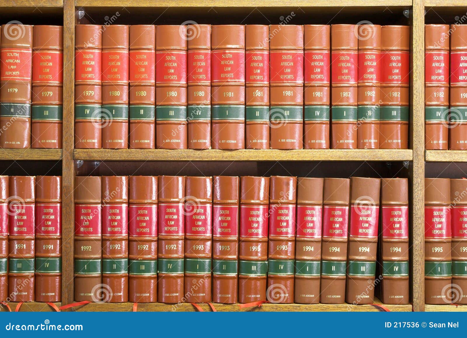 Legal books #2 stock photo. Image of wooden, bookcase, laws - 217536
