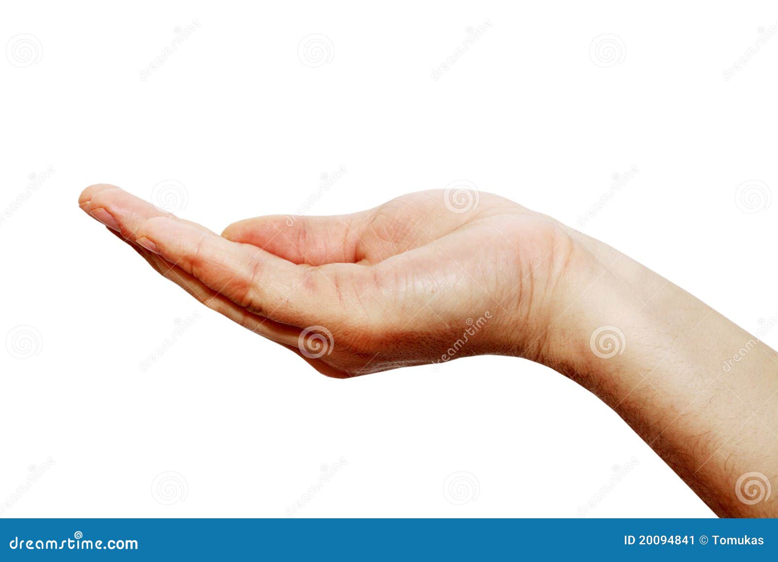 Lege hand stock afbeelding. Image of algen, palm, kaukasisch - 20094841