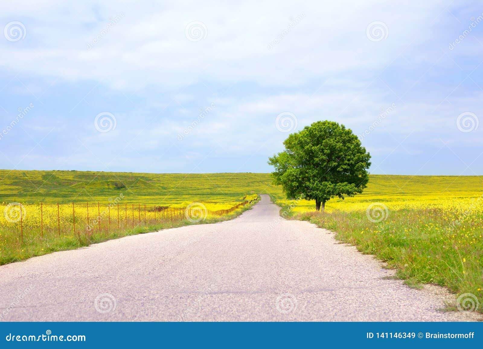 Lege Landelijke Weg Onder Groene Gebieden Met Gele Bloemen En Een ... Lege Landelijke Weg Onder Groene Gebieden Met Gele Bloemen En Een ...