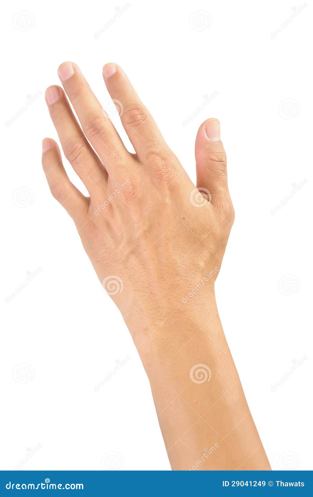 Lege open mensenhand stock afbeelding. Image of manicuur - 29041249