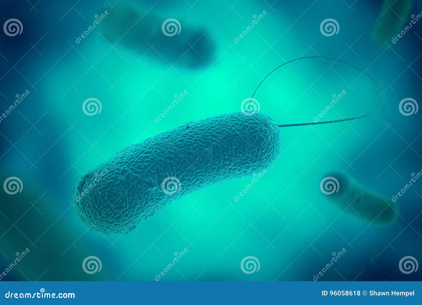 Legionella Bacterium With Flagella Microscopic View 3D Illustration ...