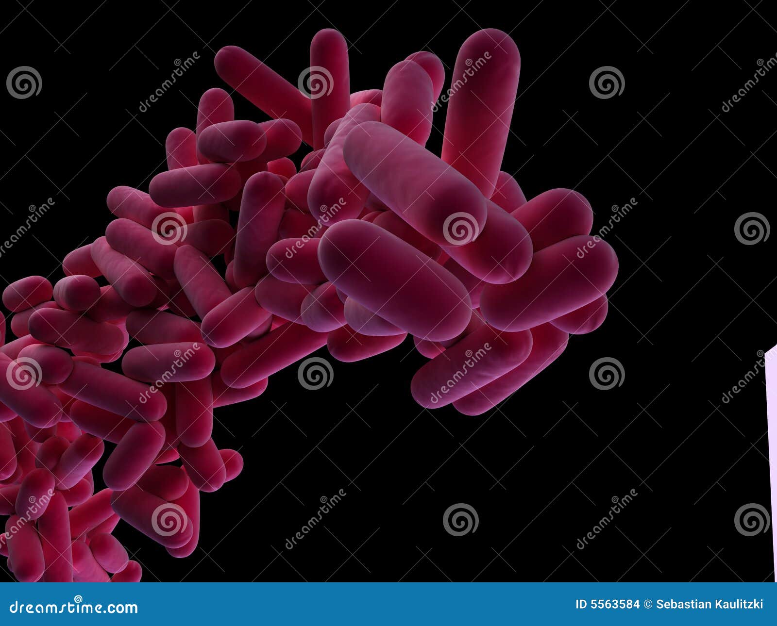 Legionella Cartoons, Illustrations & Vector Stock Images - 830 Pictures ...