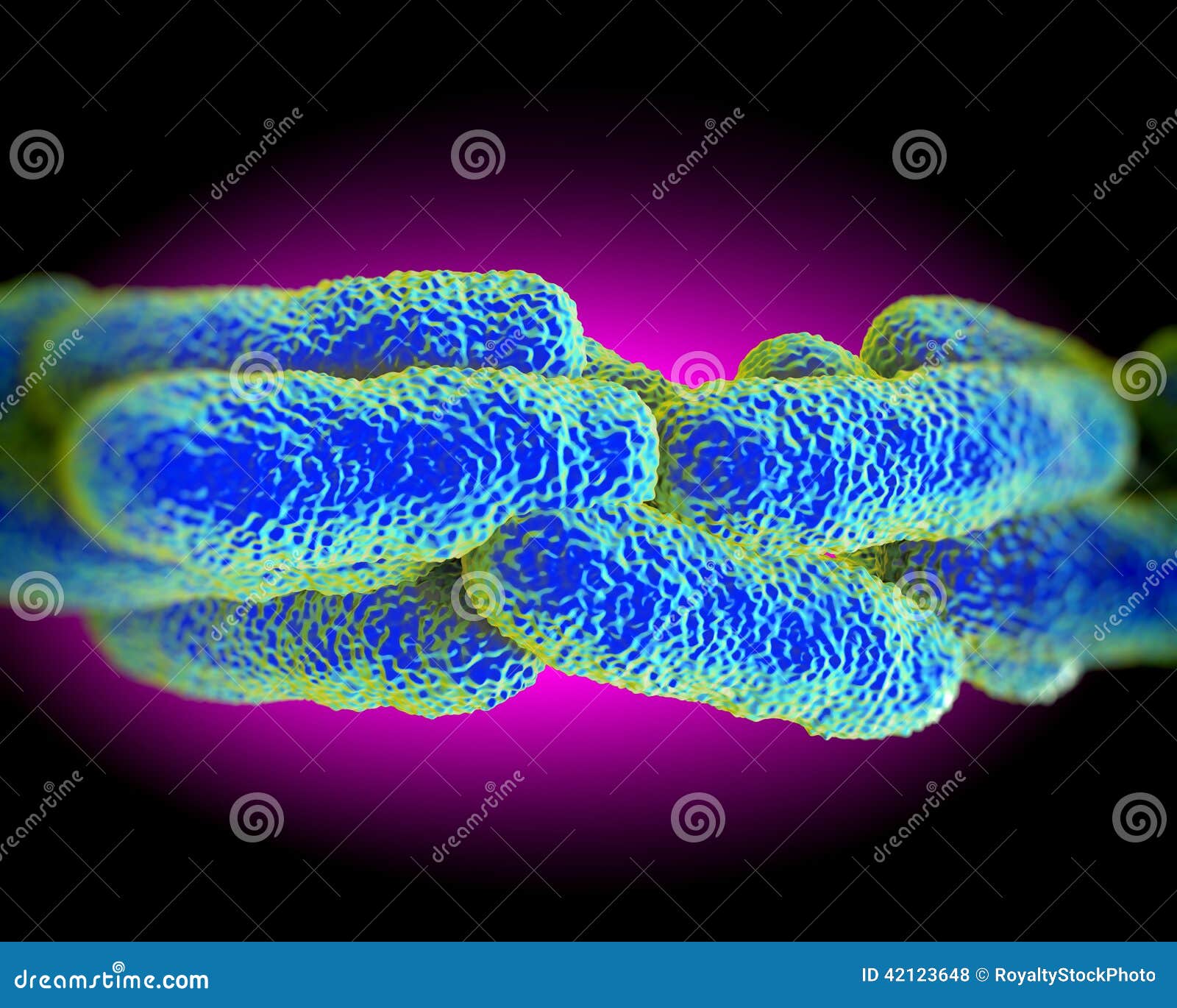 Legionella Pneumophila Bacteria, Artwork Stock Illustration ...