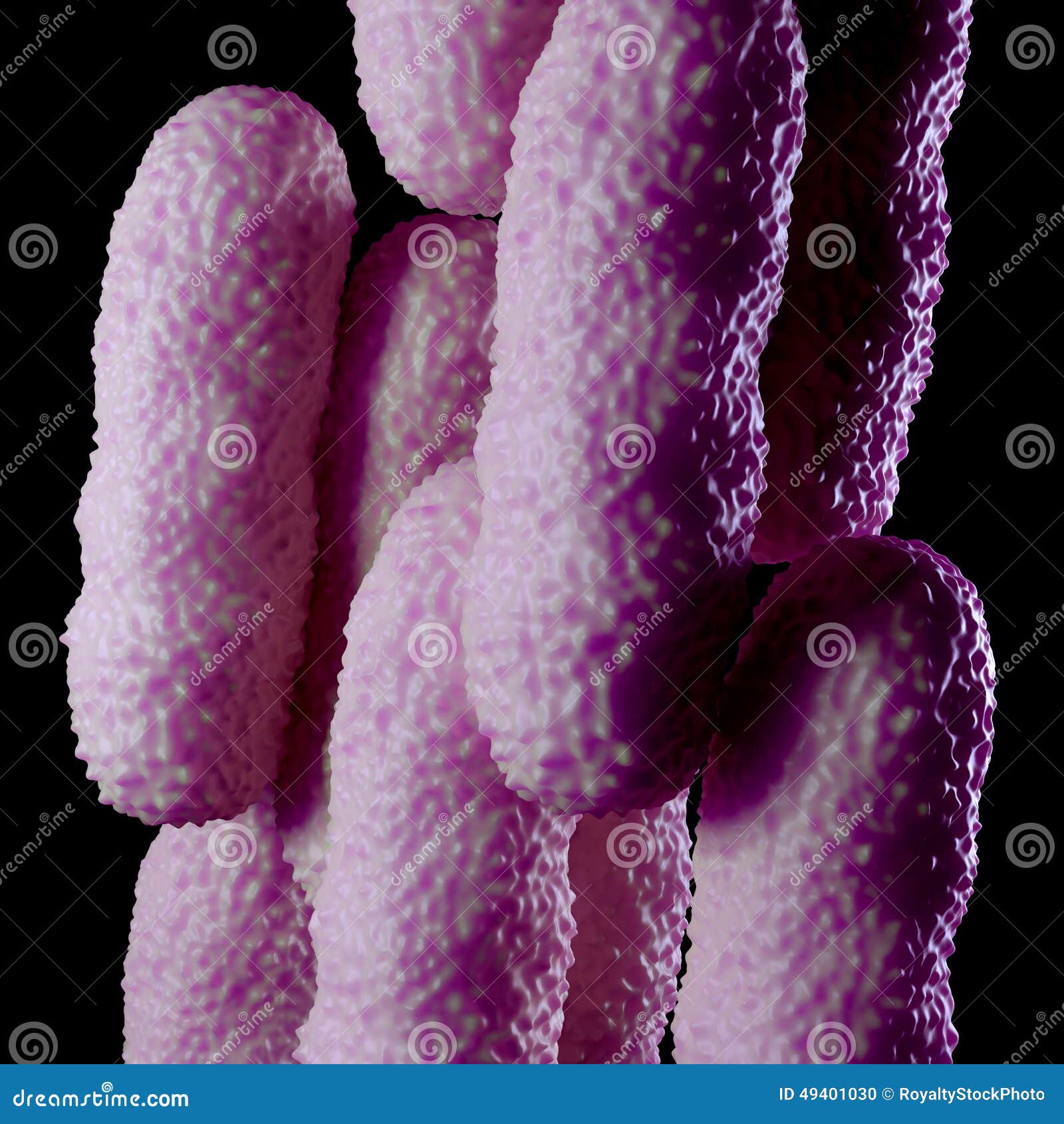 Legionella Pneumophila Bacteria, Artwork Stock Illustration ...