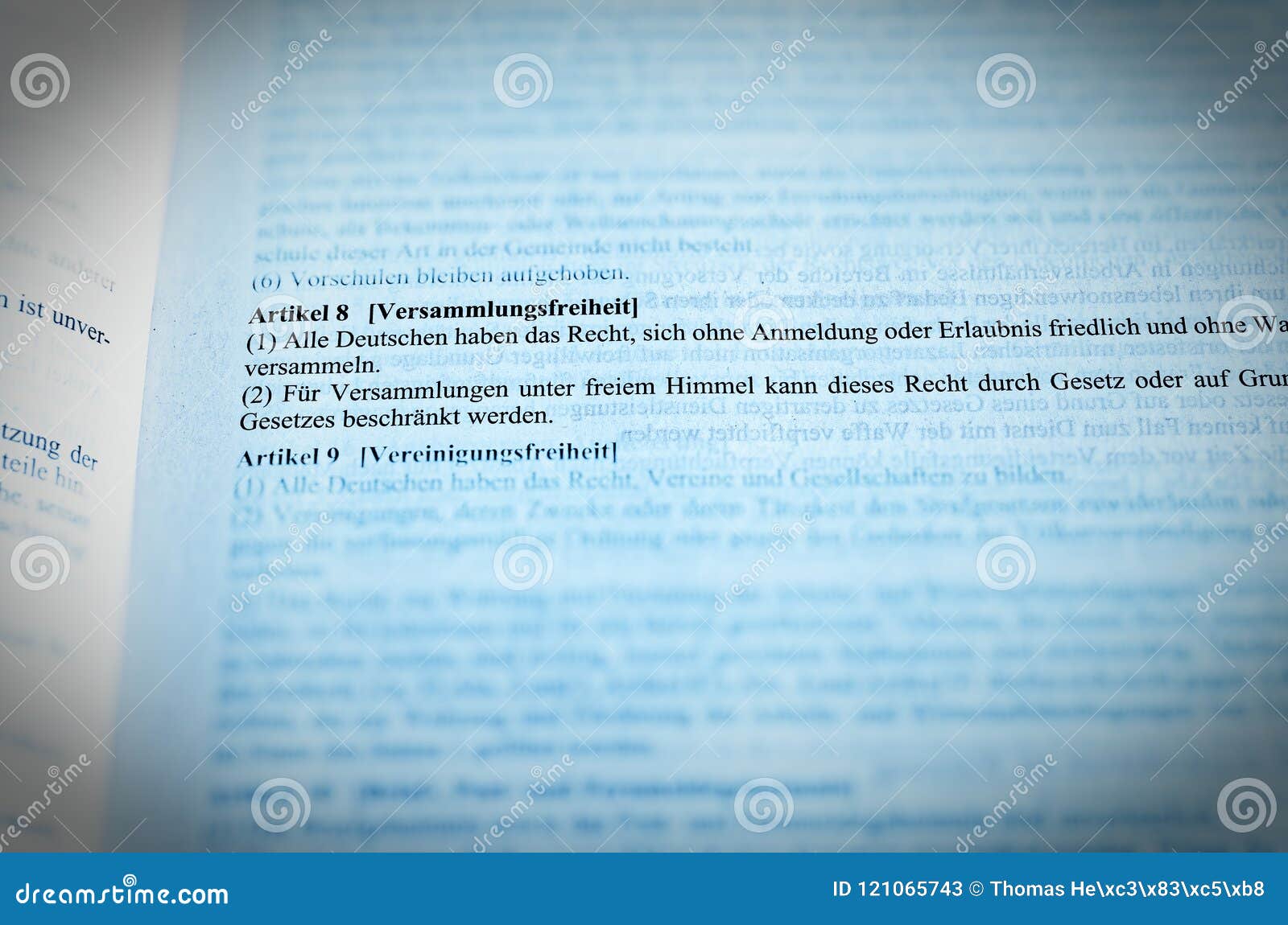 Legislative Text of the Basic Law Article 8 GG Freedom of Assembly ...