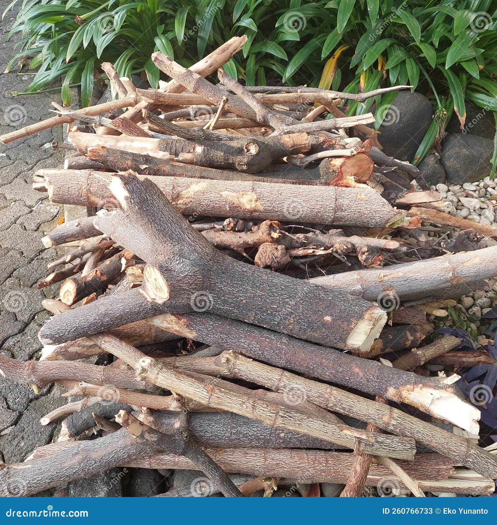 Legna Da Ardere Utilizzabile Come Legna Da Ardere Per La Cottura ...