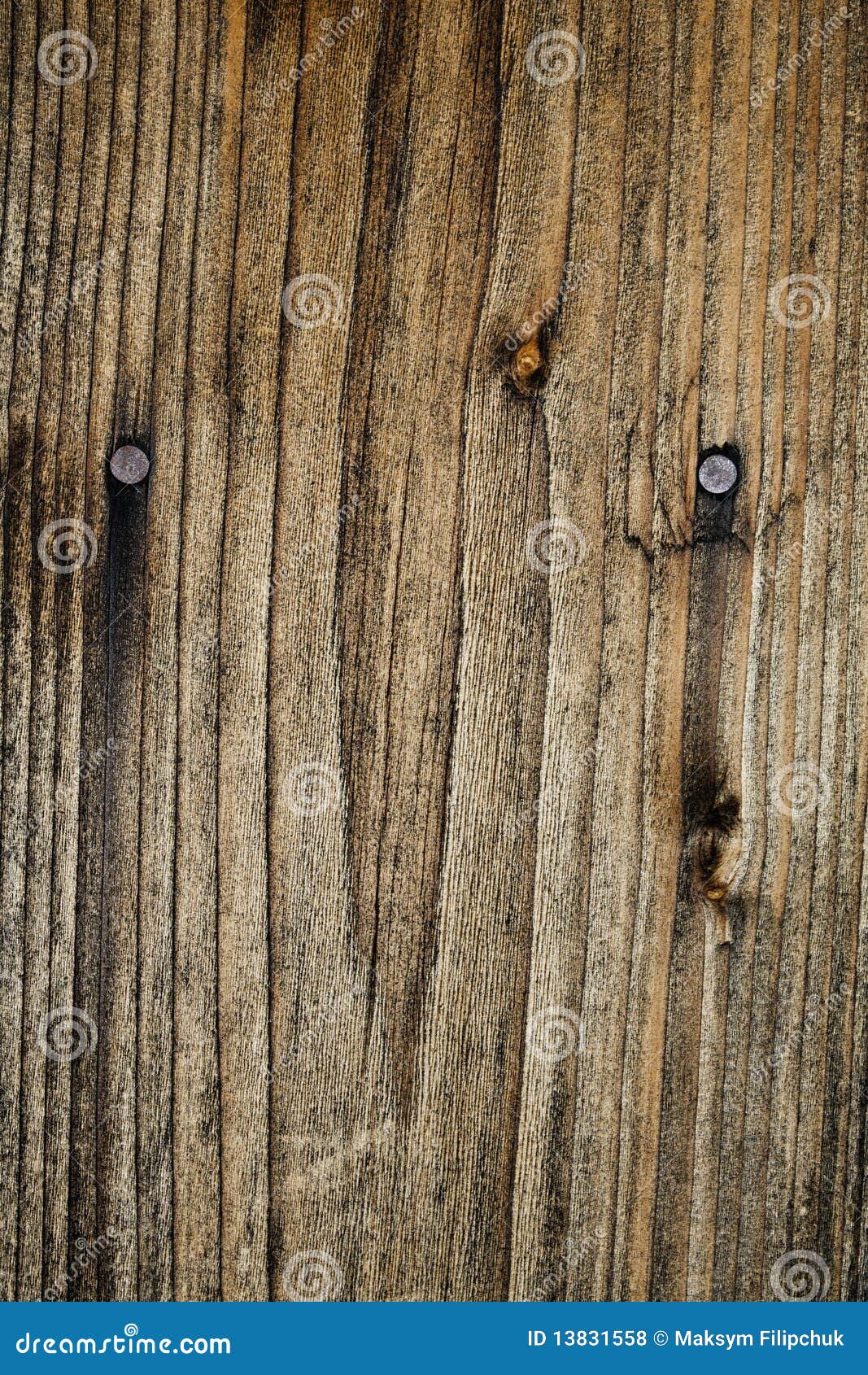 Legno Bruciato Con I Chiodi Fotografia Stock - Immagine di legname ... Legno Bruciato Con I Chiodi Fotografia Stock - Immagine di legname ...