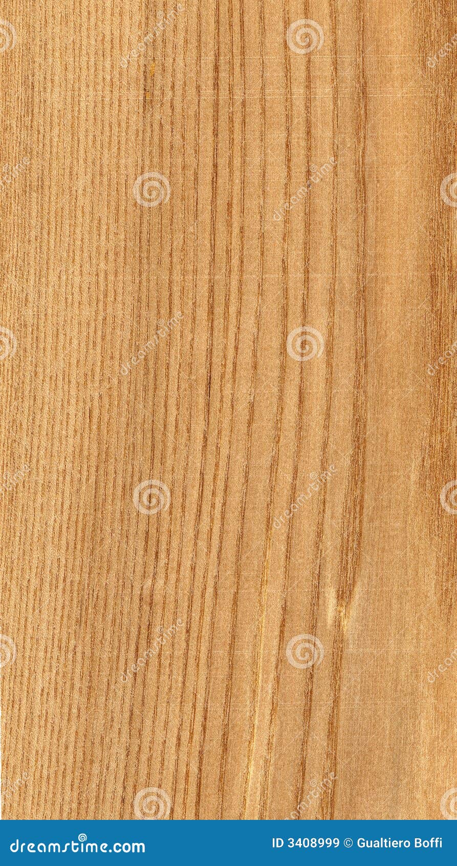 Legno dell'olmo immagine stock. Immagine di olmo, piano - 3408999
