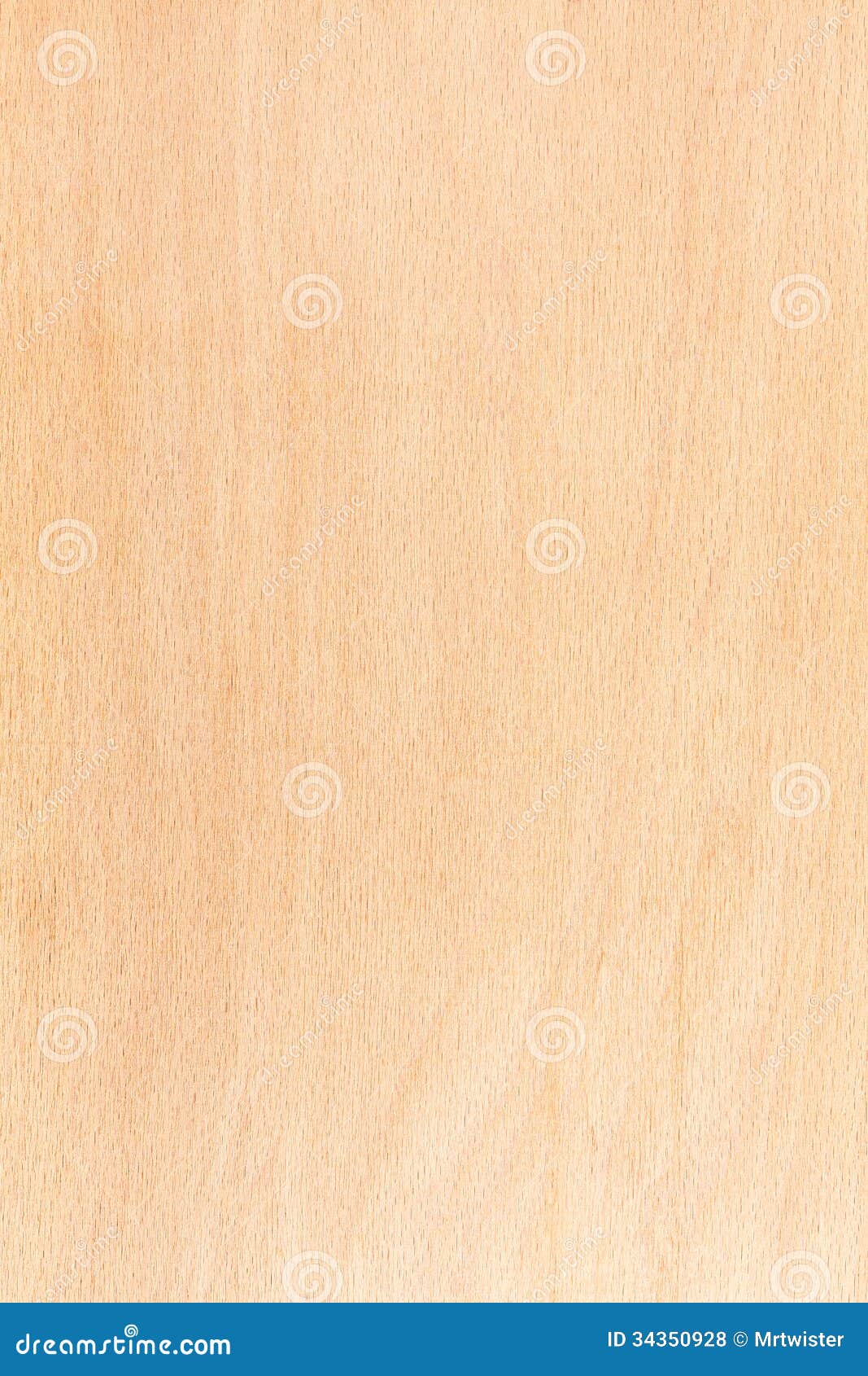 Legno di faggio fotografia stock. Immagine di legname - 34350928