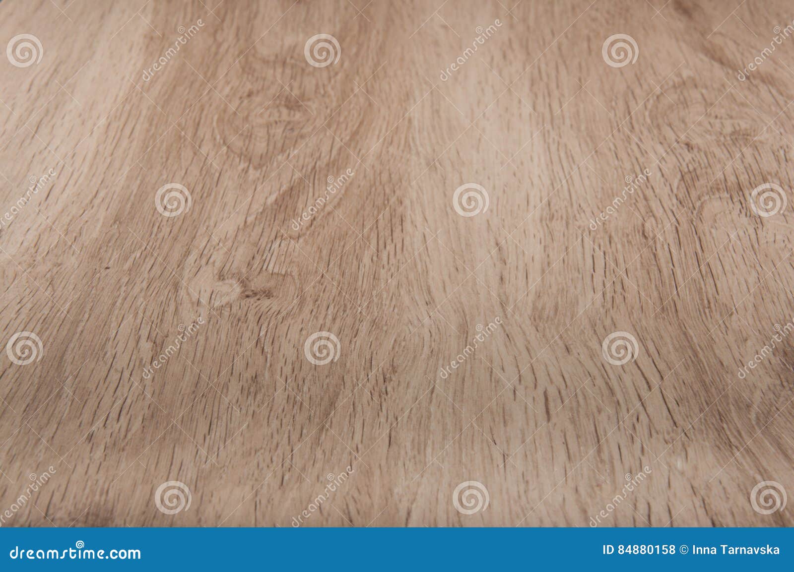 Legno Di Quercia Modello Di Legno Fotografia Stock - Immagine di ...