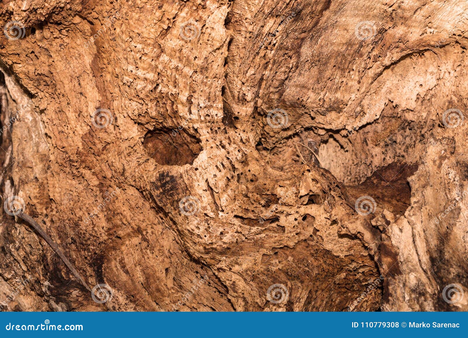 Legno duro marcio fotografia stock. Immagine di ruvido - 110779308