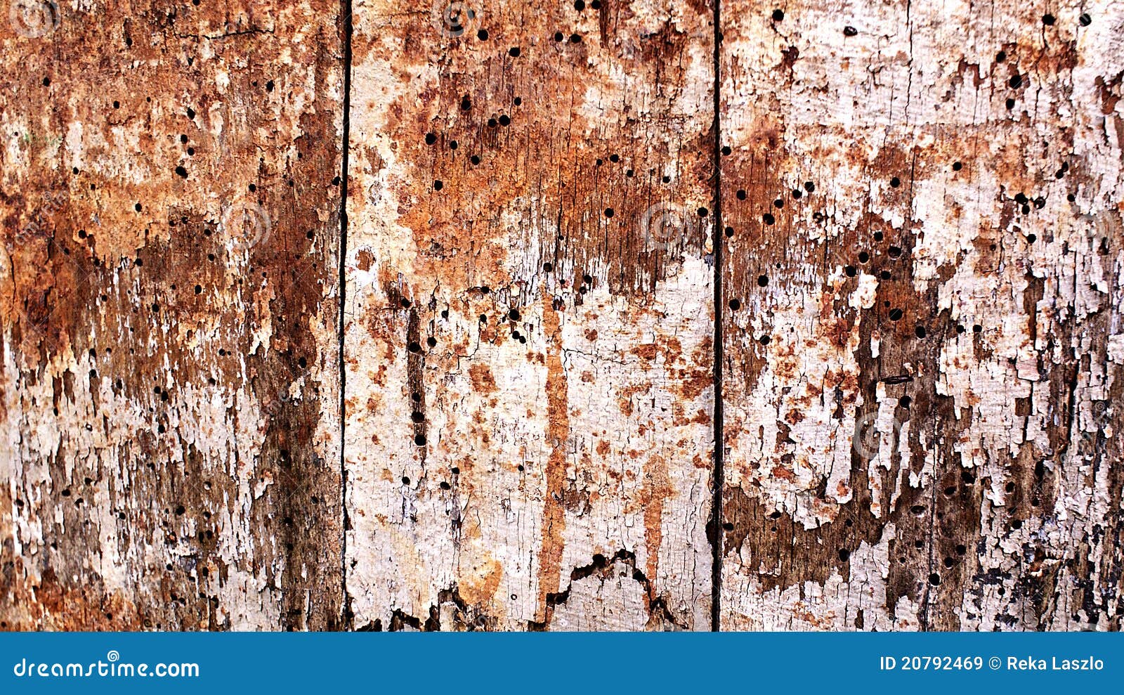 Legno marcio immagine stock. Immagine di wooden, puro - 20792469