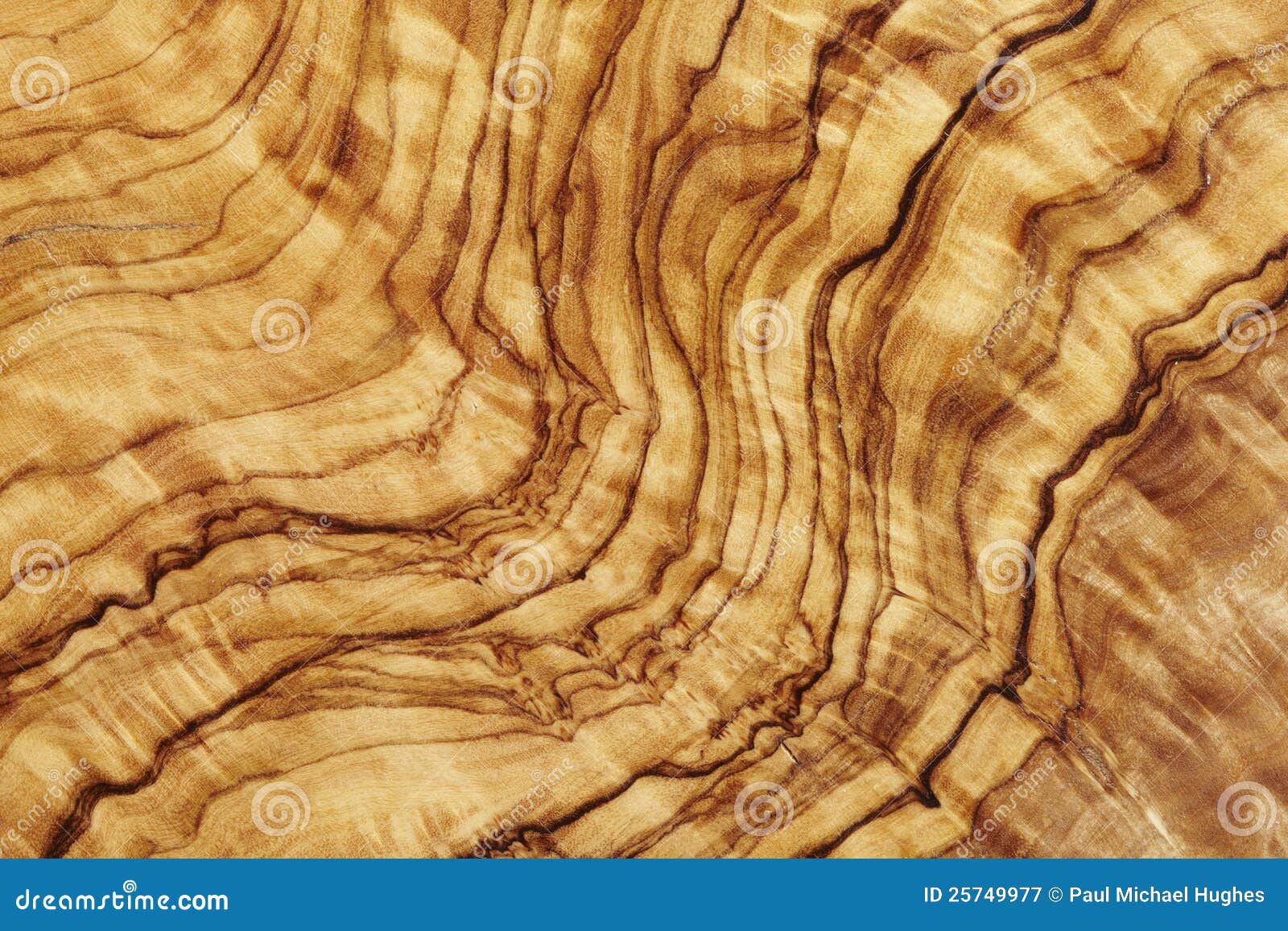 Legno verde oliva immagine stock. Immagine di antico - 25749977