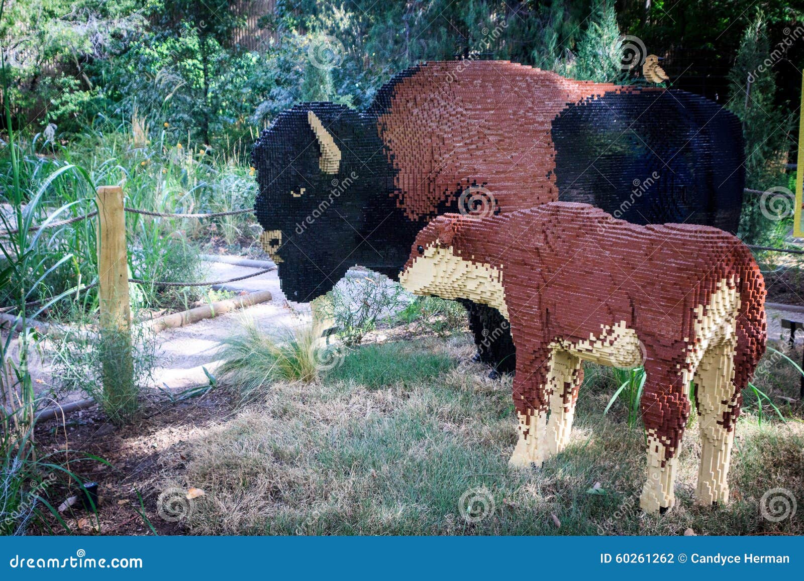 Lego Buffalos editorial photography. Image of lego, wildlife - 60261262