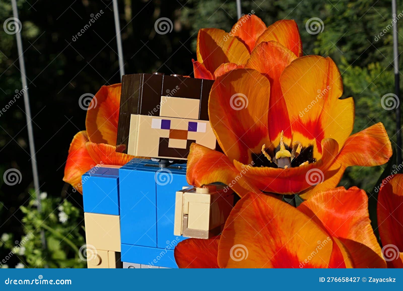Lego Minecraft Large Figure Of Main Character Steve Adoring Beautiful