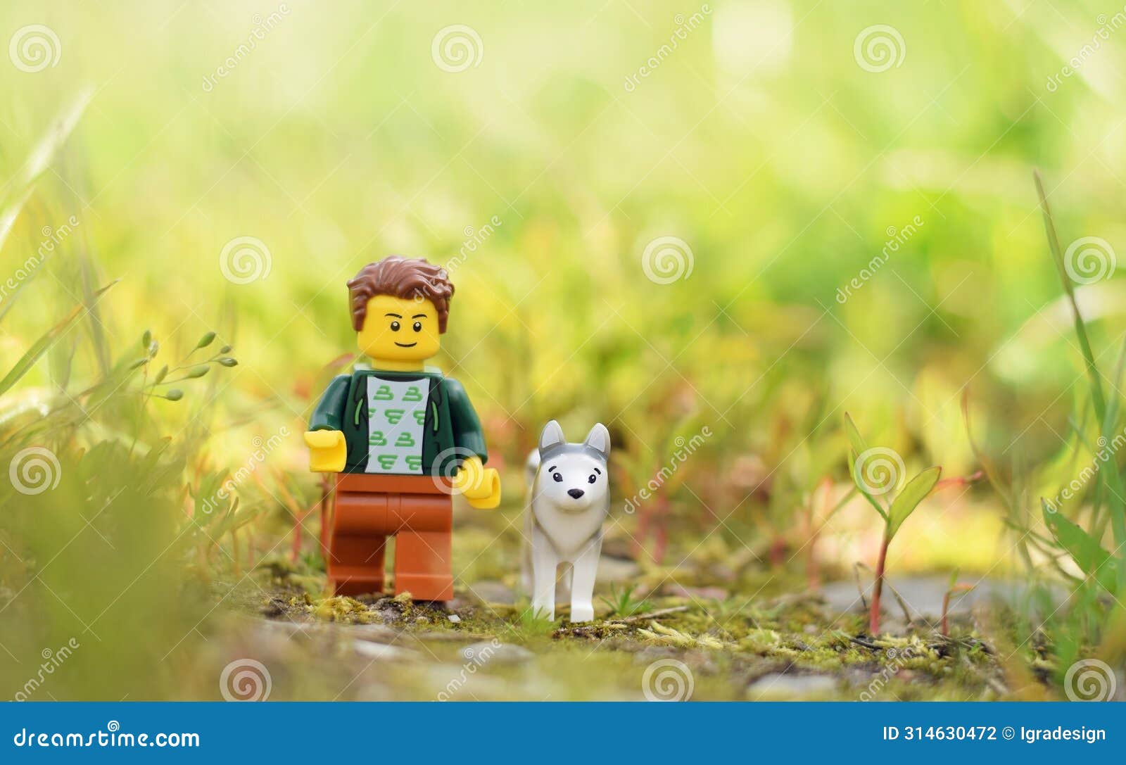 Lego Minifigure with Dog are Walking Editorial Photography - Image of ...