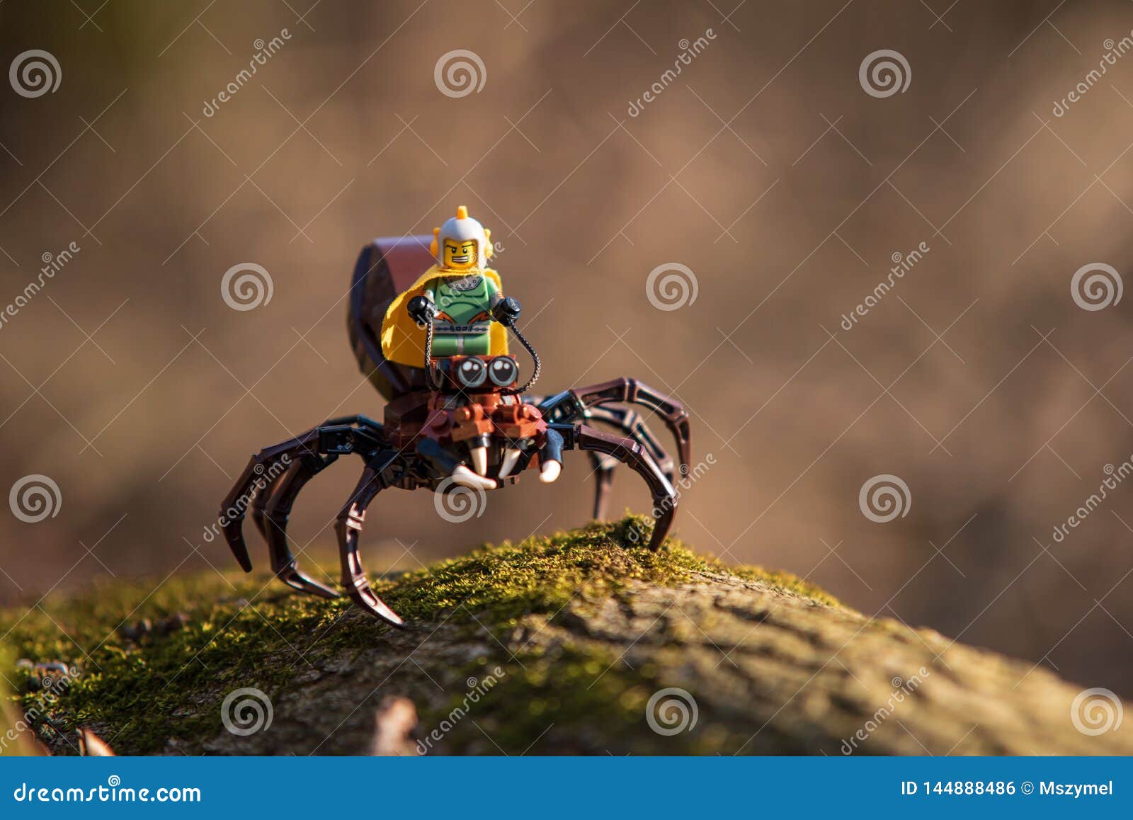 Lego Chima Spider Queen