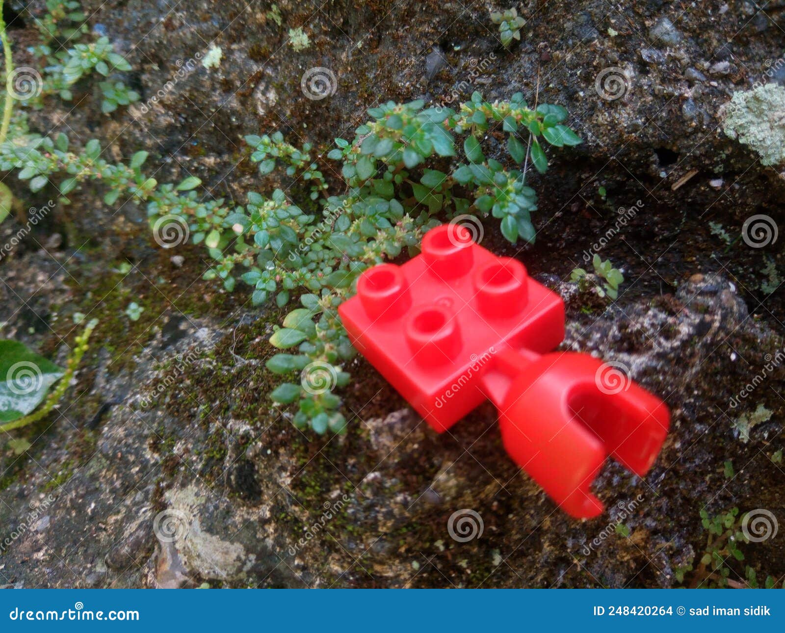 Lego on the mossy wall stock photo. Image of mossy, green - 248420264