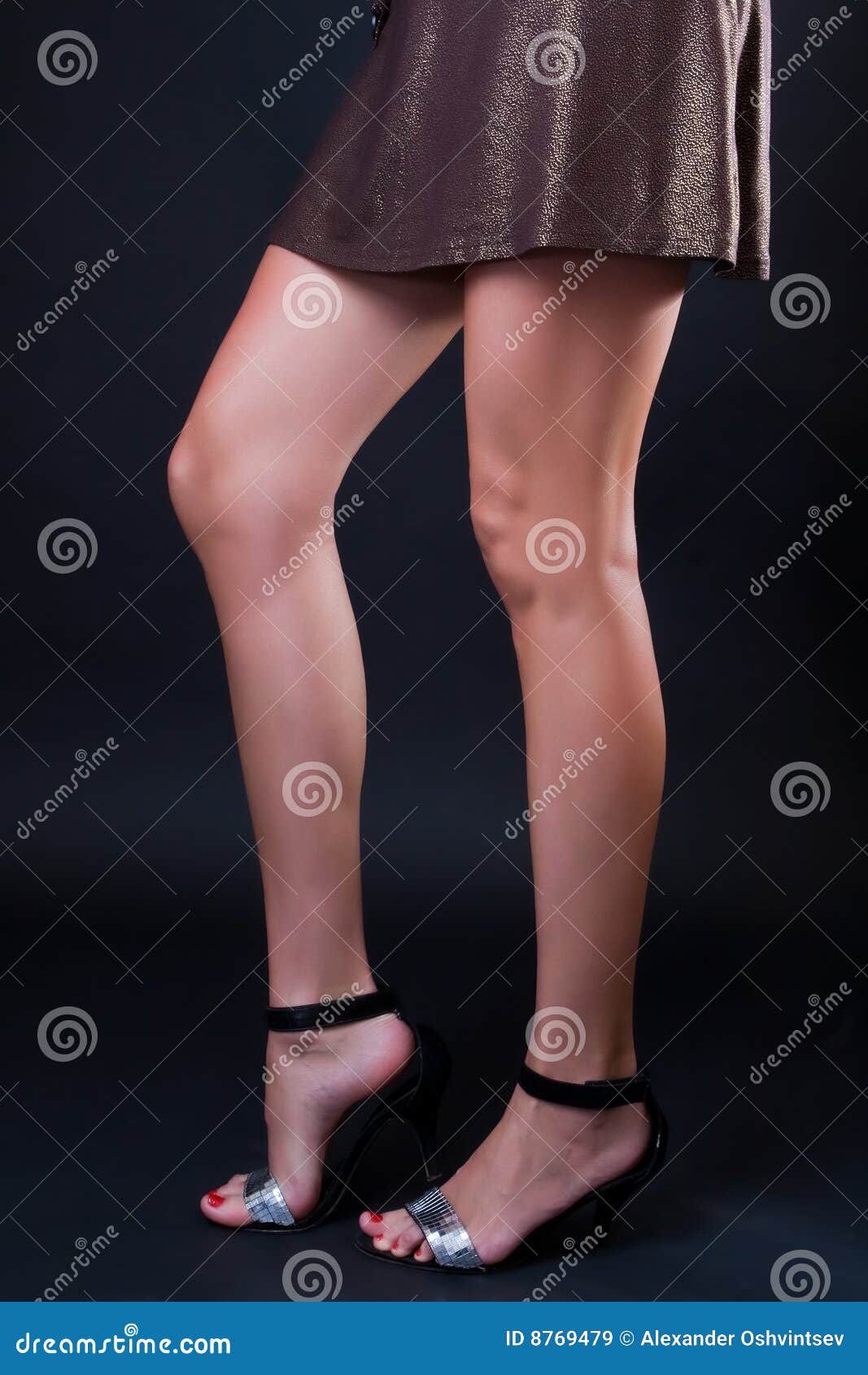 Legs stock image. Image of fashion, elegance, skin, attractive - 8769479