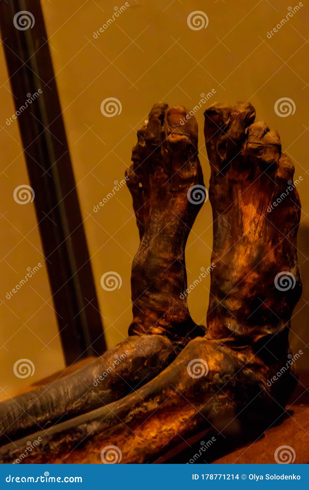 Ancient Mummy Wrapped In Fabric Stock Photo | CartoonDealer.com #41431728