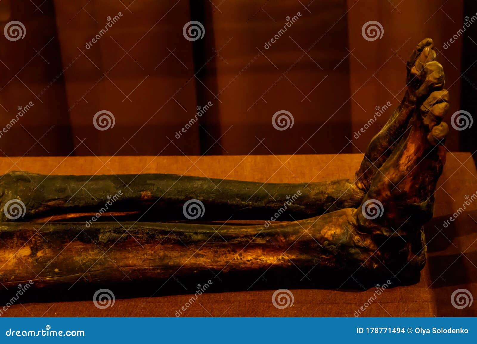 Legs of Ancient Mummy Close-up Editorial Stock Image - Image of dead ...