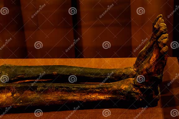 Legs of Ancient Mummy Close-up Editorial Stock Image - Image of dead ...