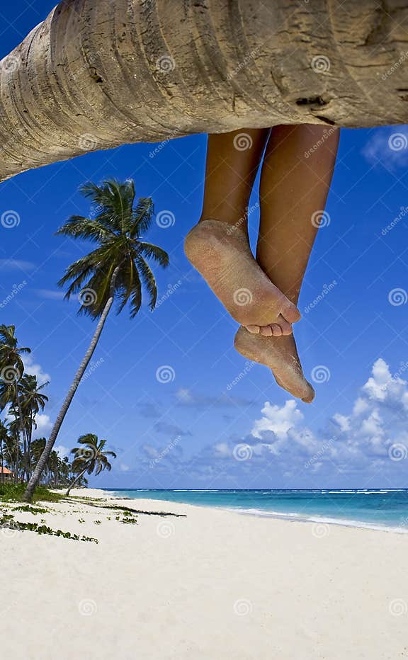 Legs on the beach stock image. Image of cruise, shore - 6583903