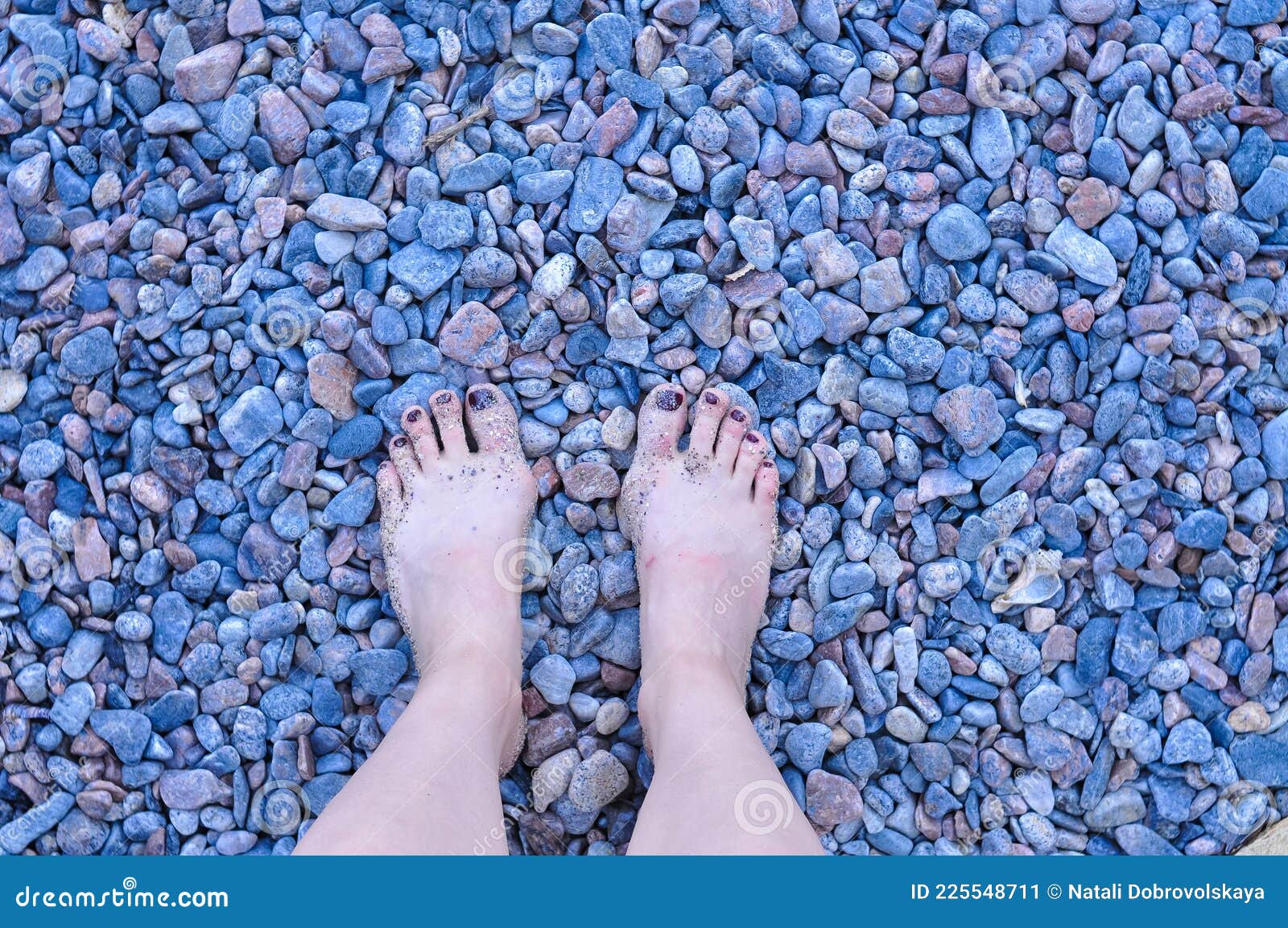 Legs on the Blue Pebbles Stones at the Seaside Stock Image - Image of ...
