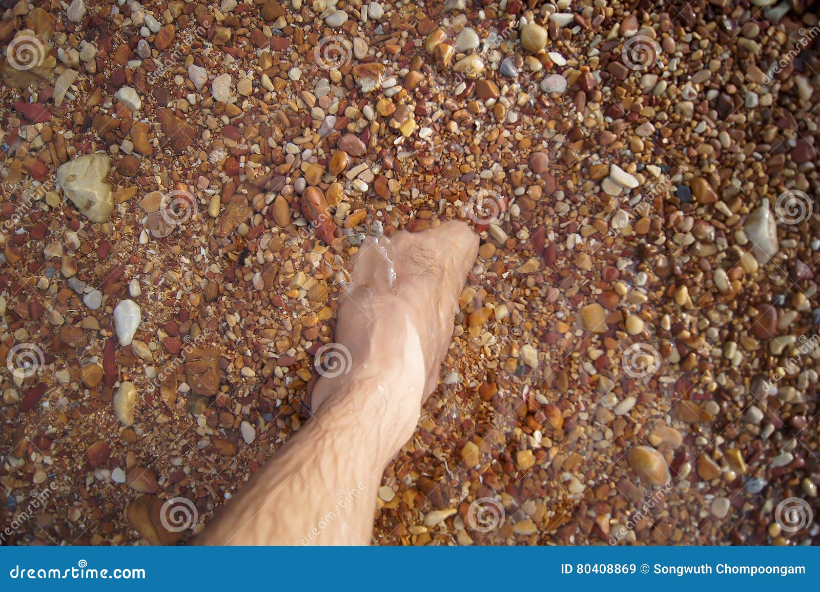 Legs and Feet Drowned in the Sea Red Stone Stock Image - Image of ...