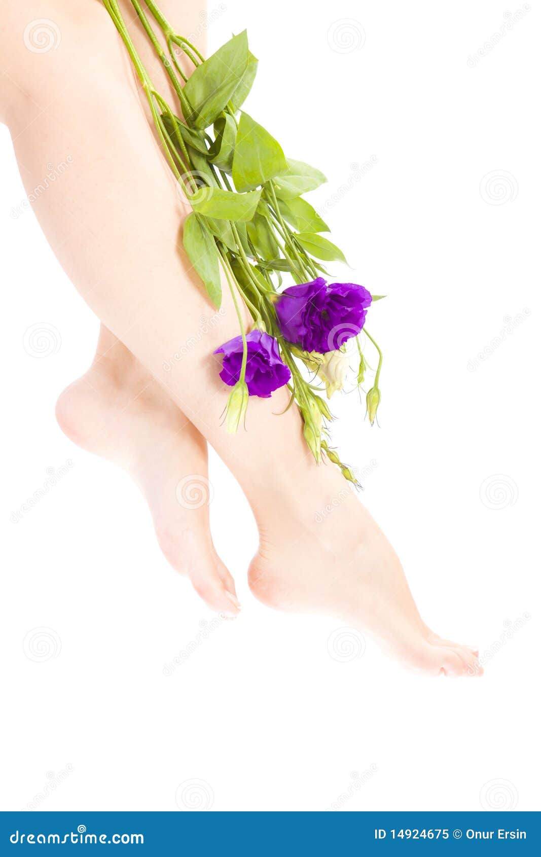 Legs with flower stock image. Image of female, elegance - 14924675