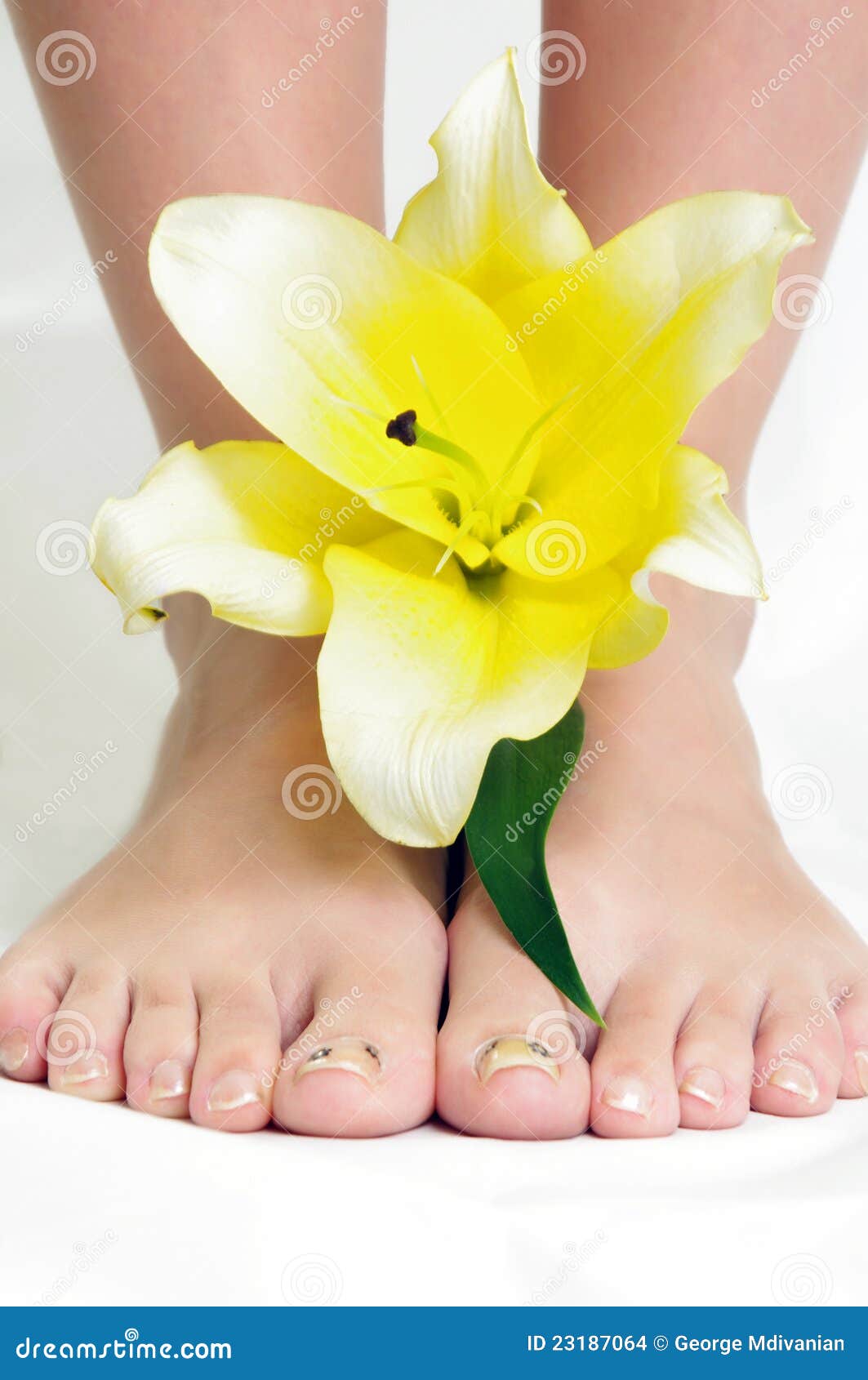Legs with flower stock photo. Image of pure, aroma, bright - 23187064