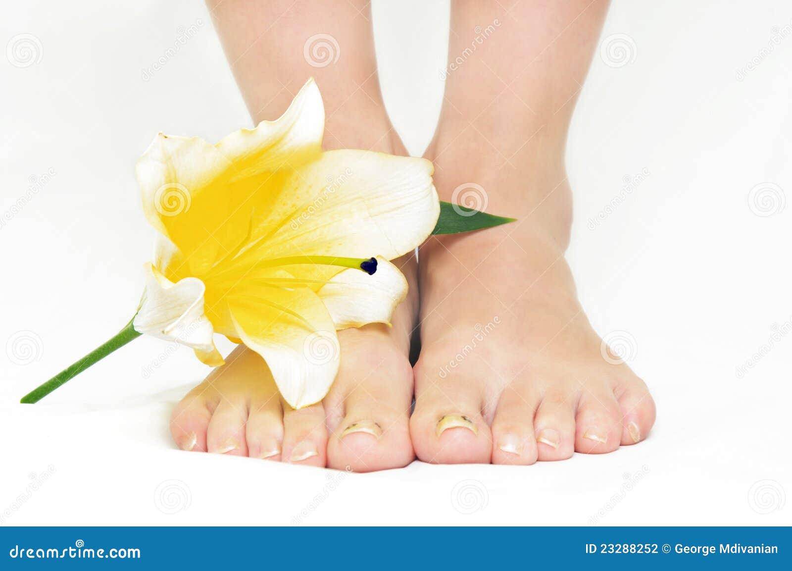 Legs with flower stock photo. Image of pure, relaxation - 23288252