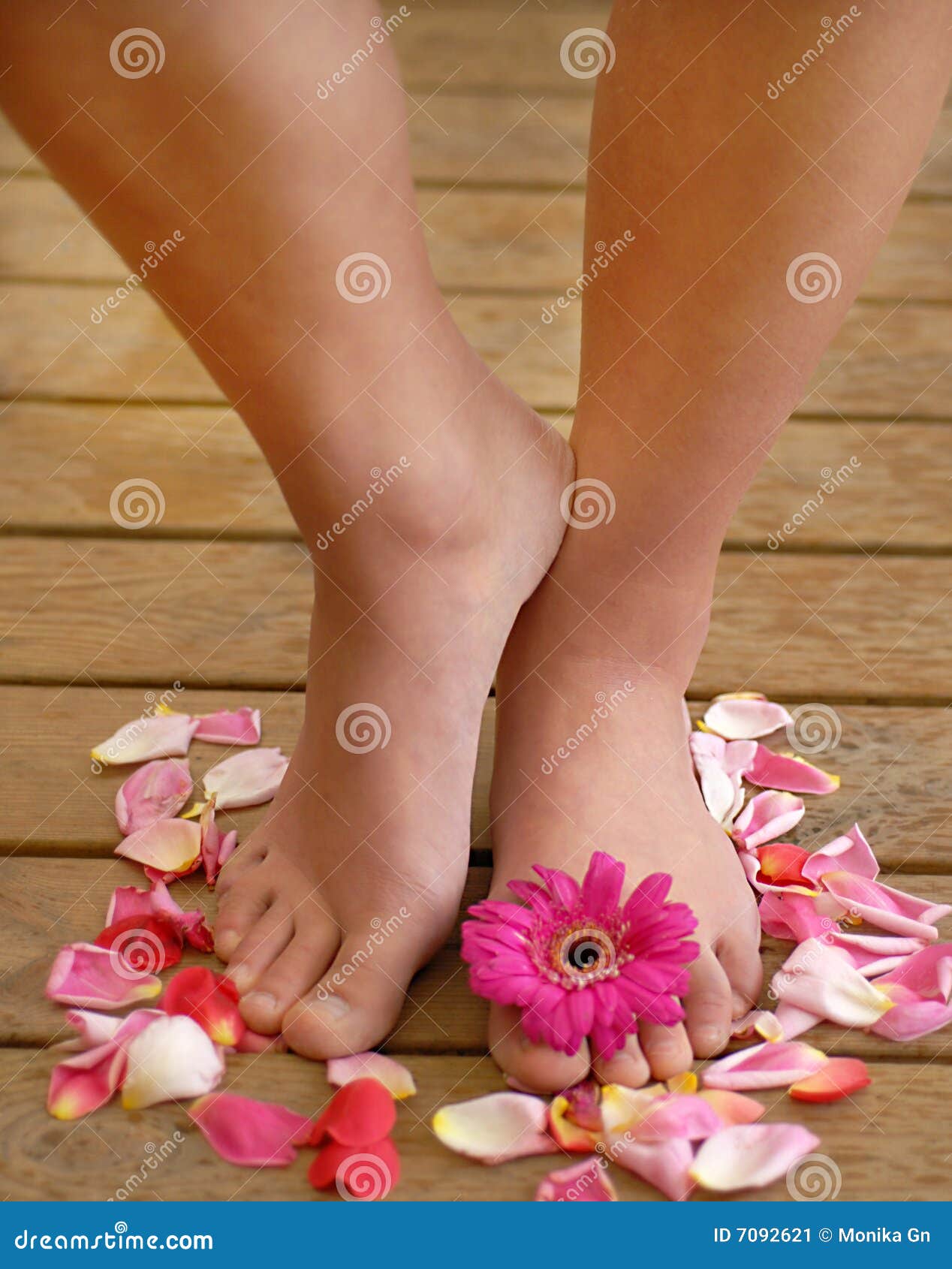 Legs an flowers stock image. Image of foot, beauty, recreation - 7092621