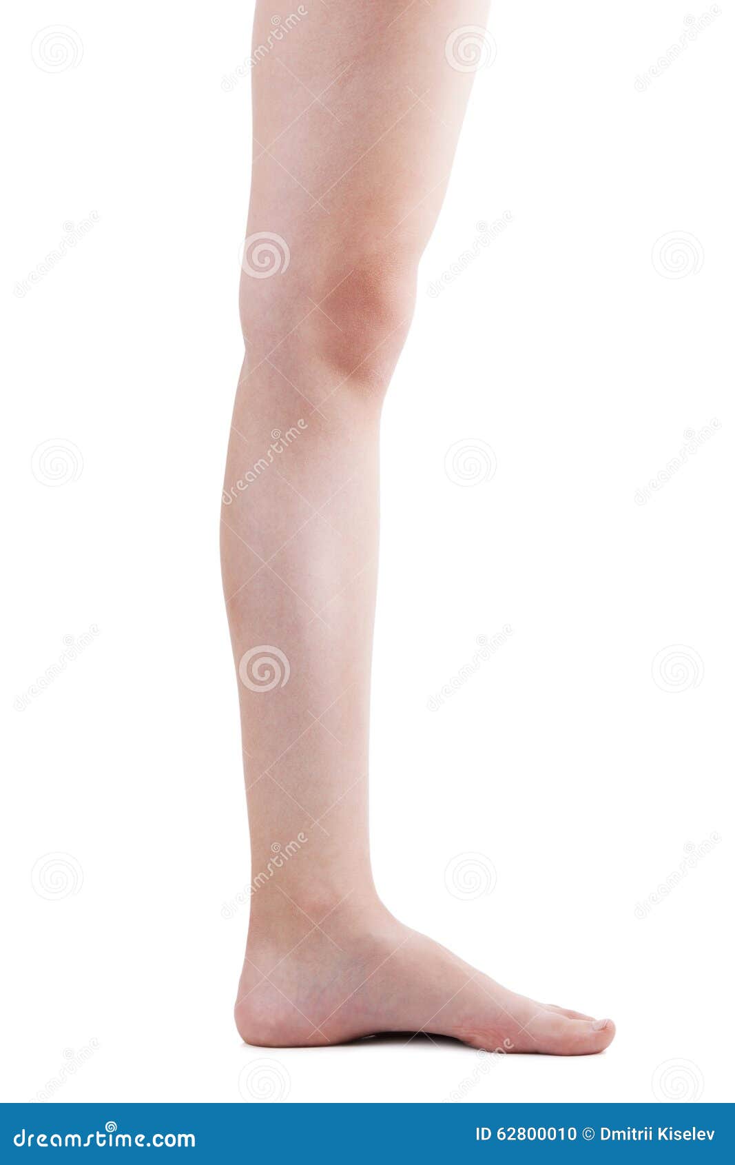 Legs Fragment on a White Background Stock Photo - Image of anticnemion ...