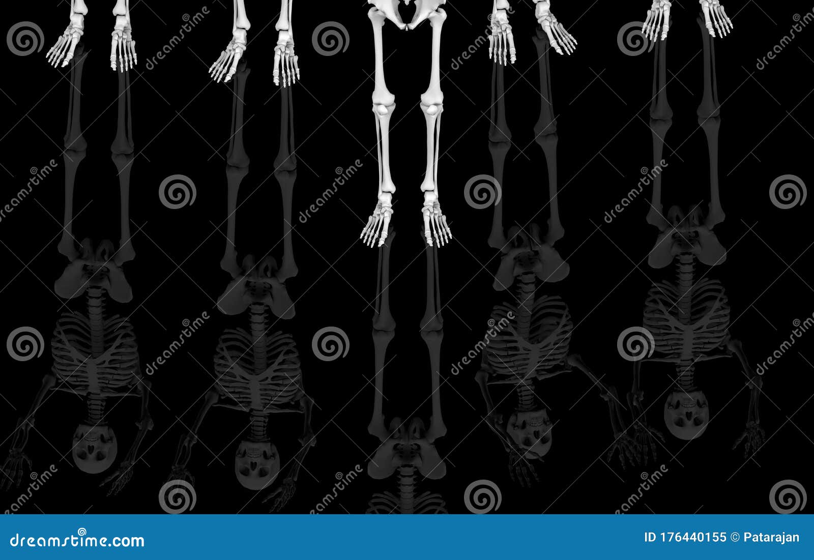 3d Rendering. Legs of Ghost Human Skull Skeleton Bones with Reflection ...