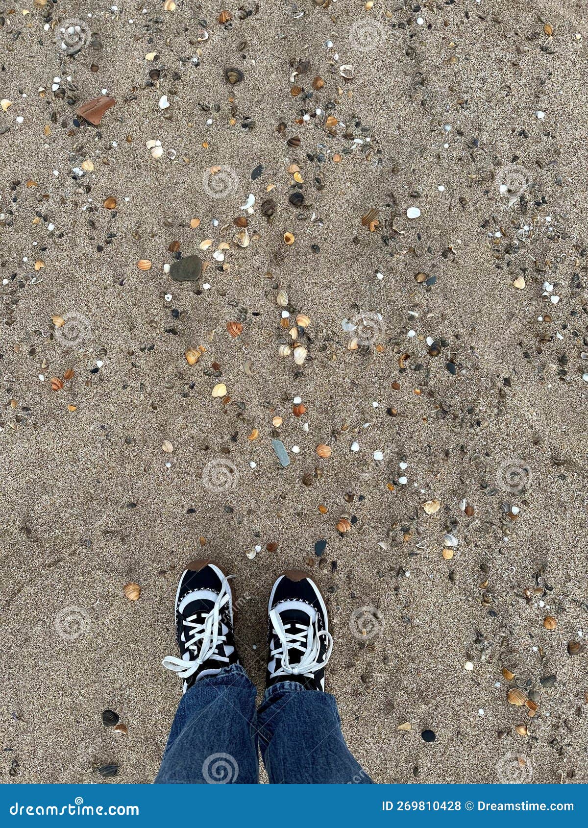 The Legs of a Girl in Sneakers on the Seashore with Shells. Stock Photo ...