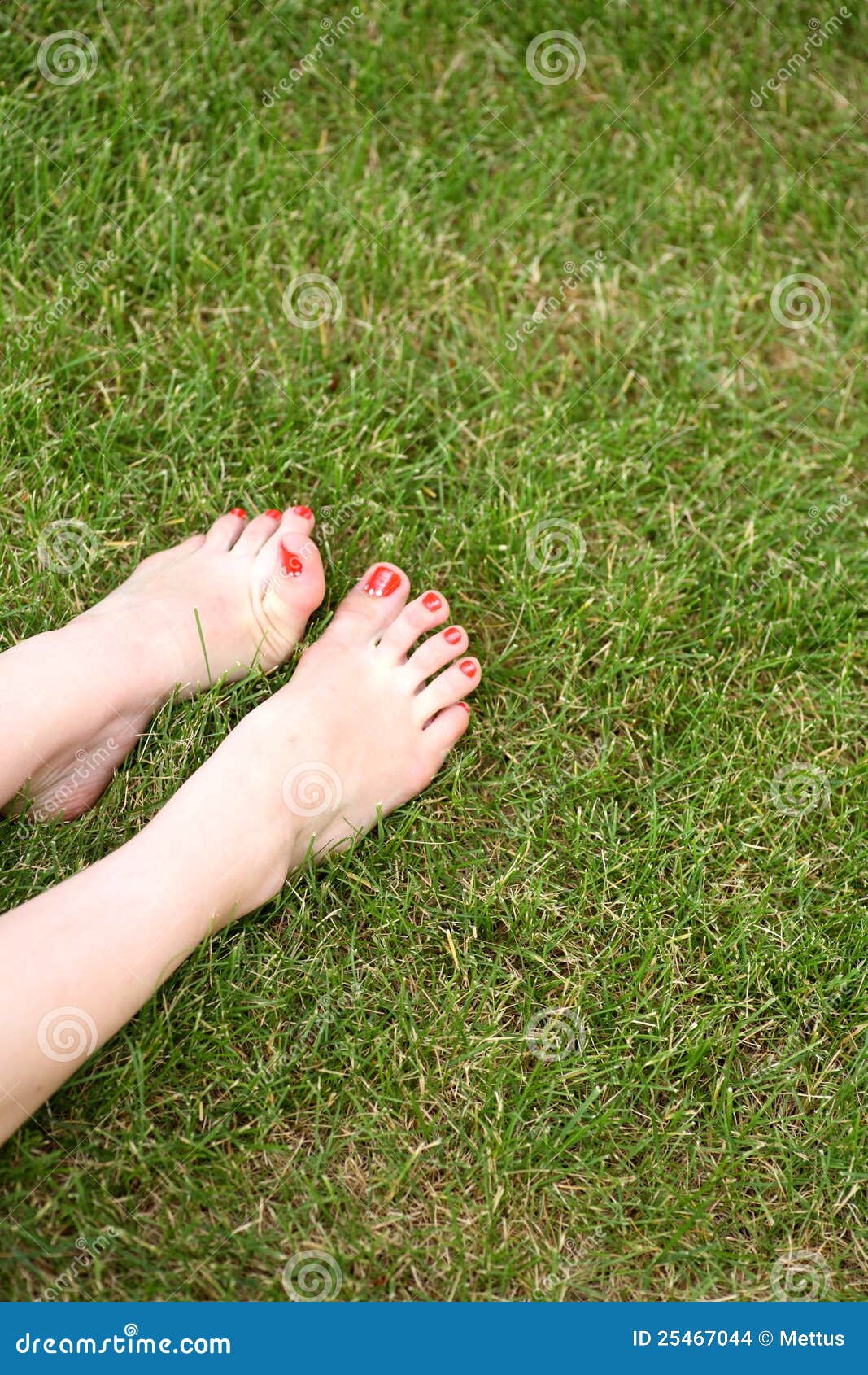 Legs and grass stock photo. Image of freedom, fresh, lawn - 25467044