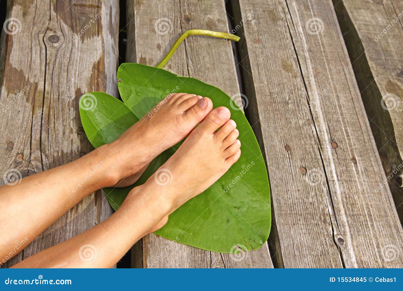 Legs on the green leave stock image. Image of hygiene - 15534845