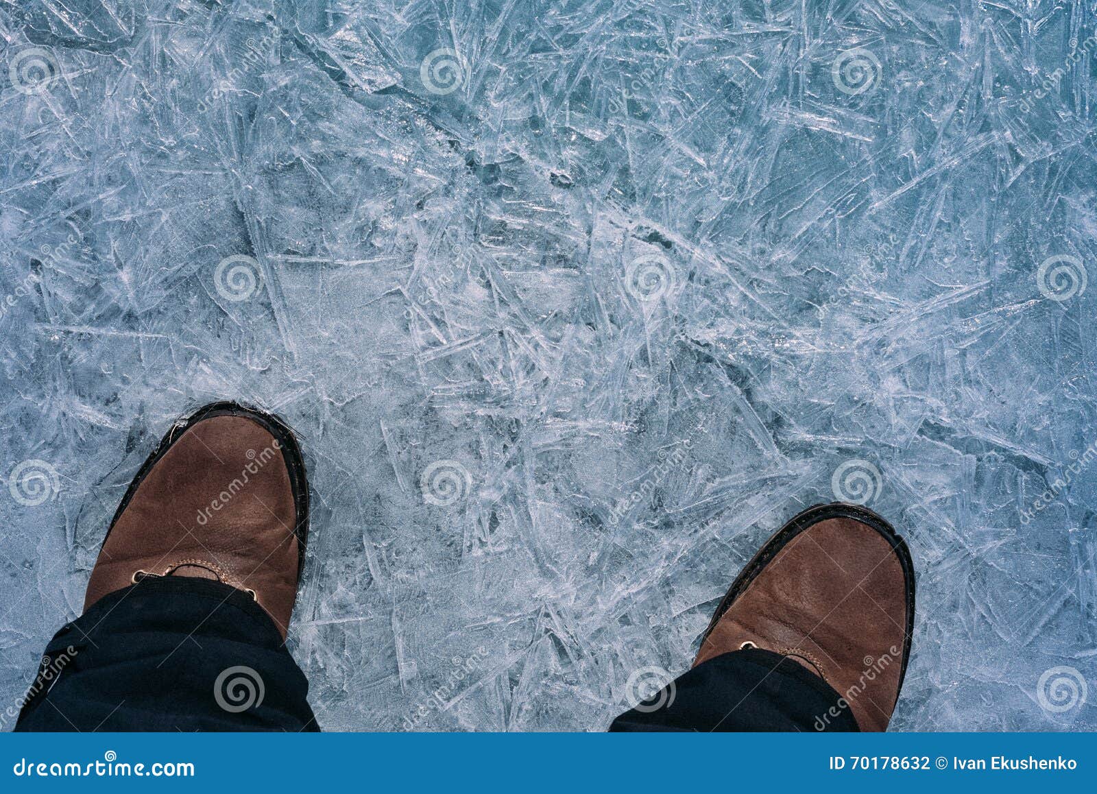 The legs on the ice. stock photo. Image of rare, island - 70178632
