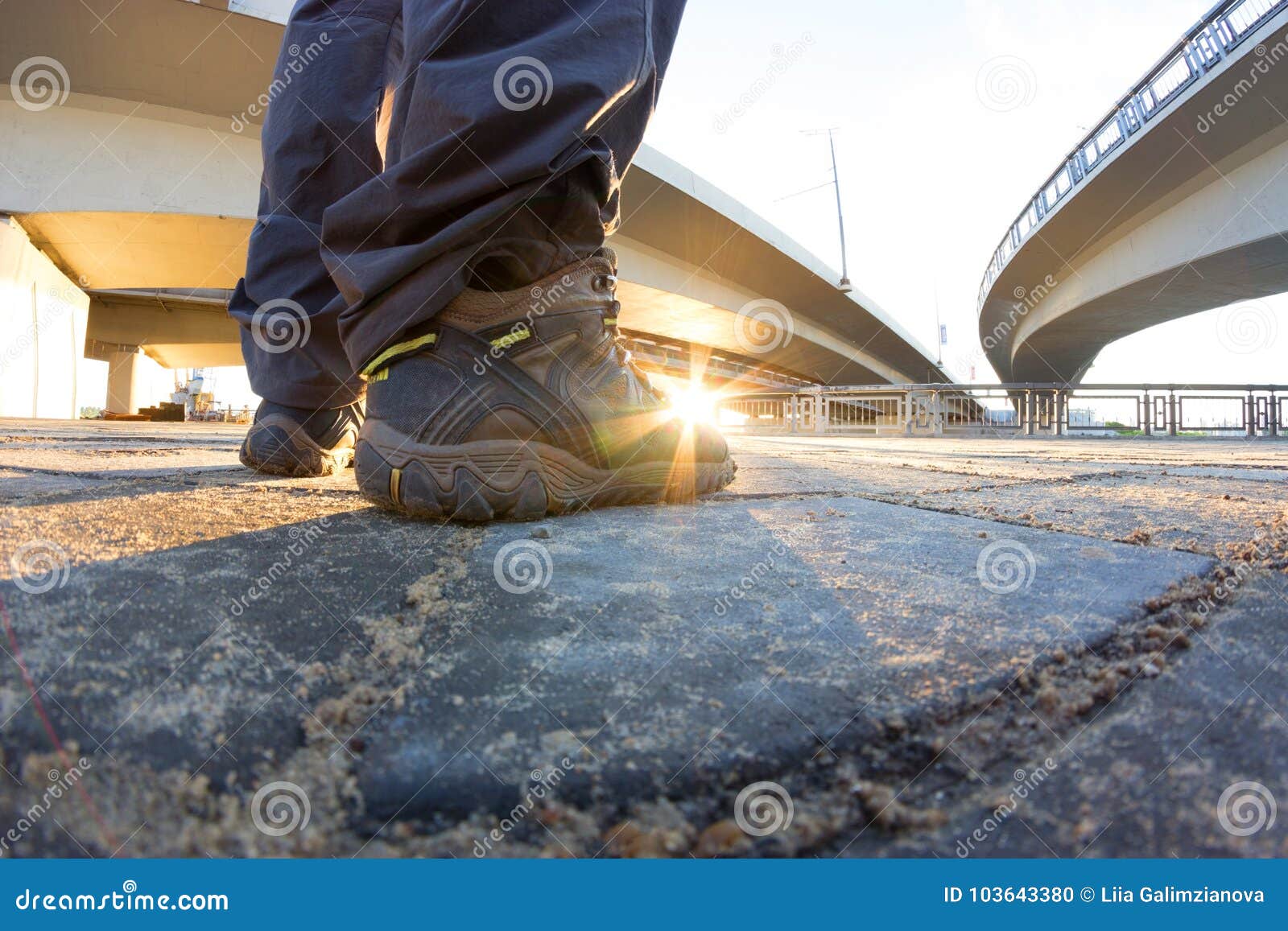 Legs of a man in snickers stock photo. Image of athletic - 103643380