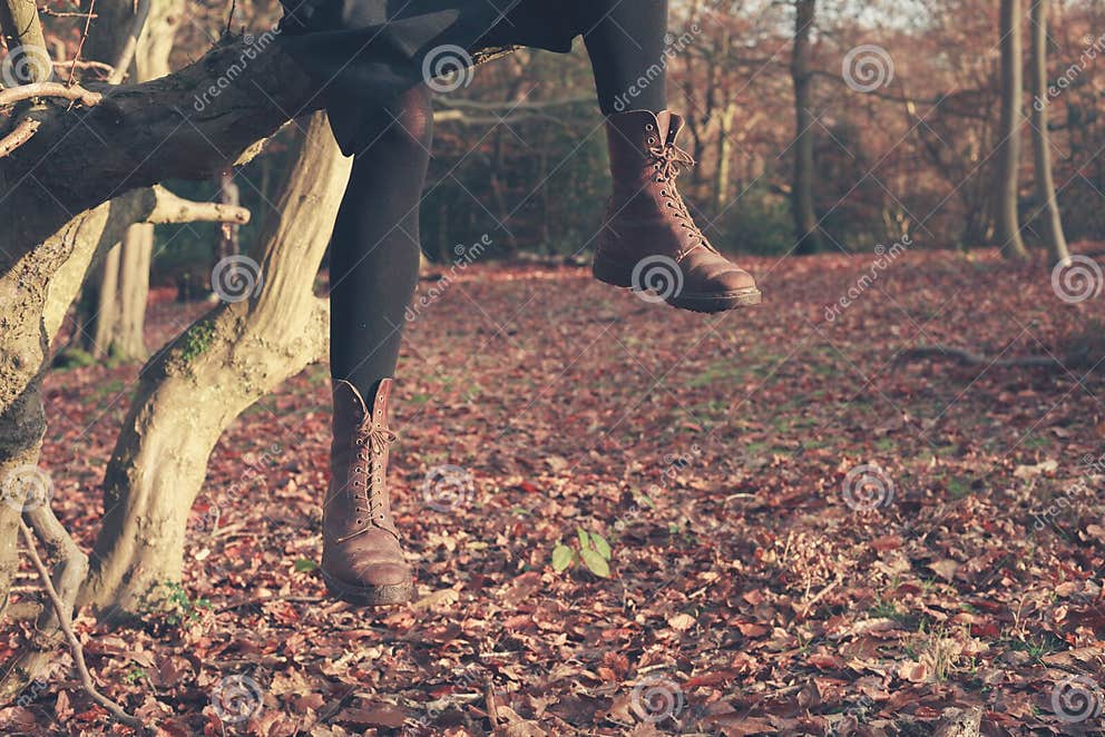 Legs of Person Dangling from Tree Stock Image - Image of branch, people ...