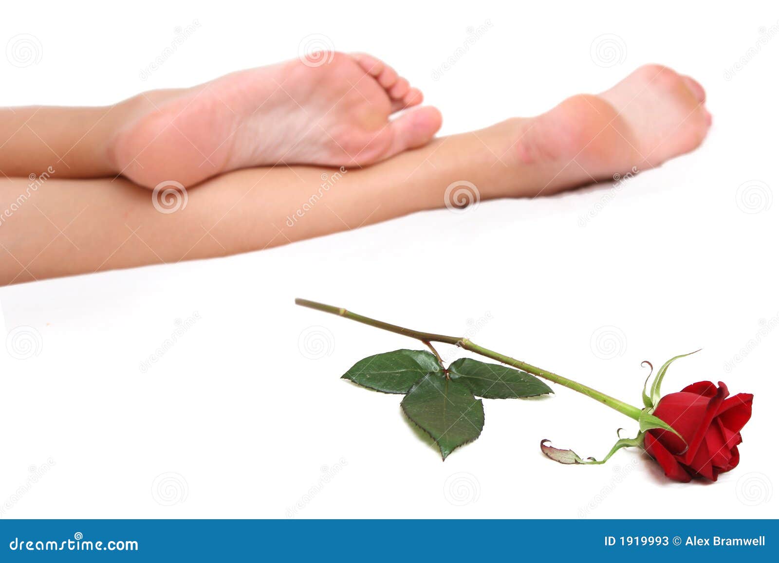 Legs and Rose stock image. Image of romance, close, foot - 1919993