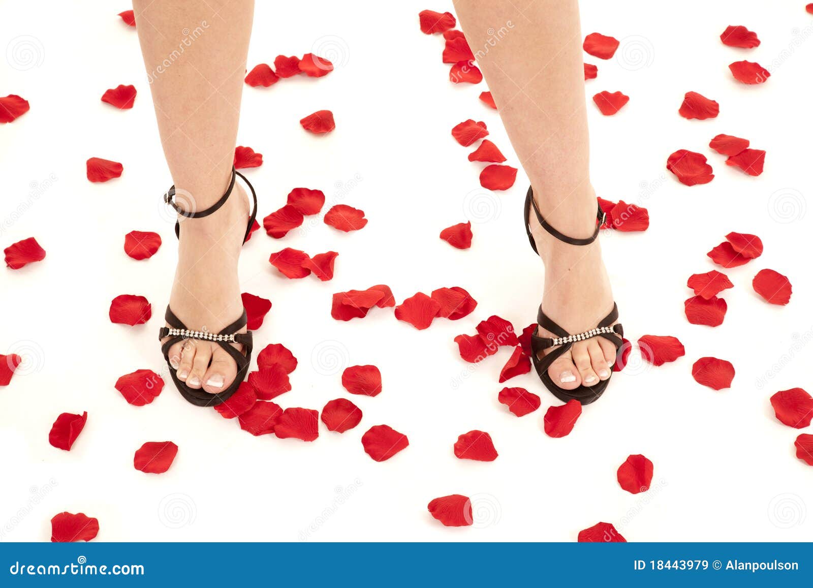 Legs With Rose Stock Photography | CartoonDealer.com #13130330